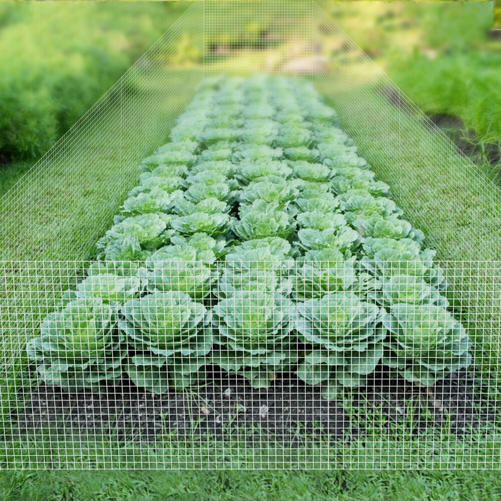 36"/48" X 100' /50' Hardware Cloth 1/2" Welded Wire Galvanized Mesh ...