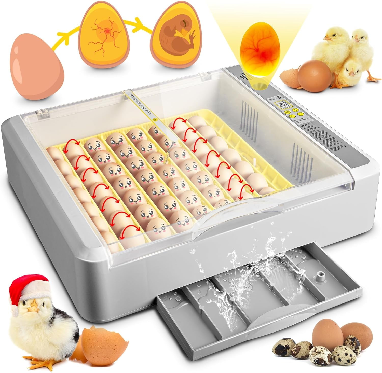 36-60 Egg Incubator with Automatic Egg Turning and Humidity Control, 360° View Chicken Egg ...