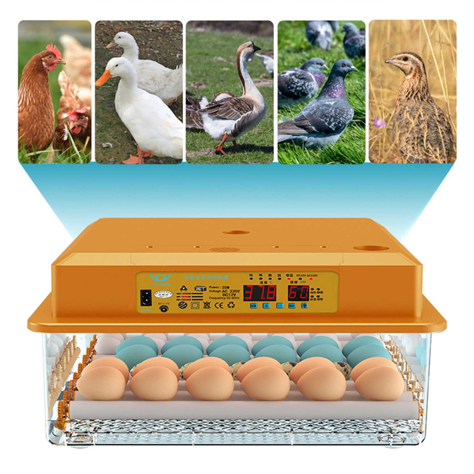 36 Egg Incubator for Hatching Eggs, Chicken Incubator for Eggs with ...
