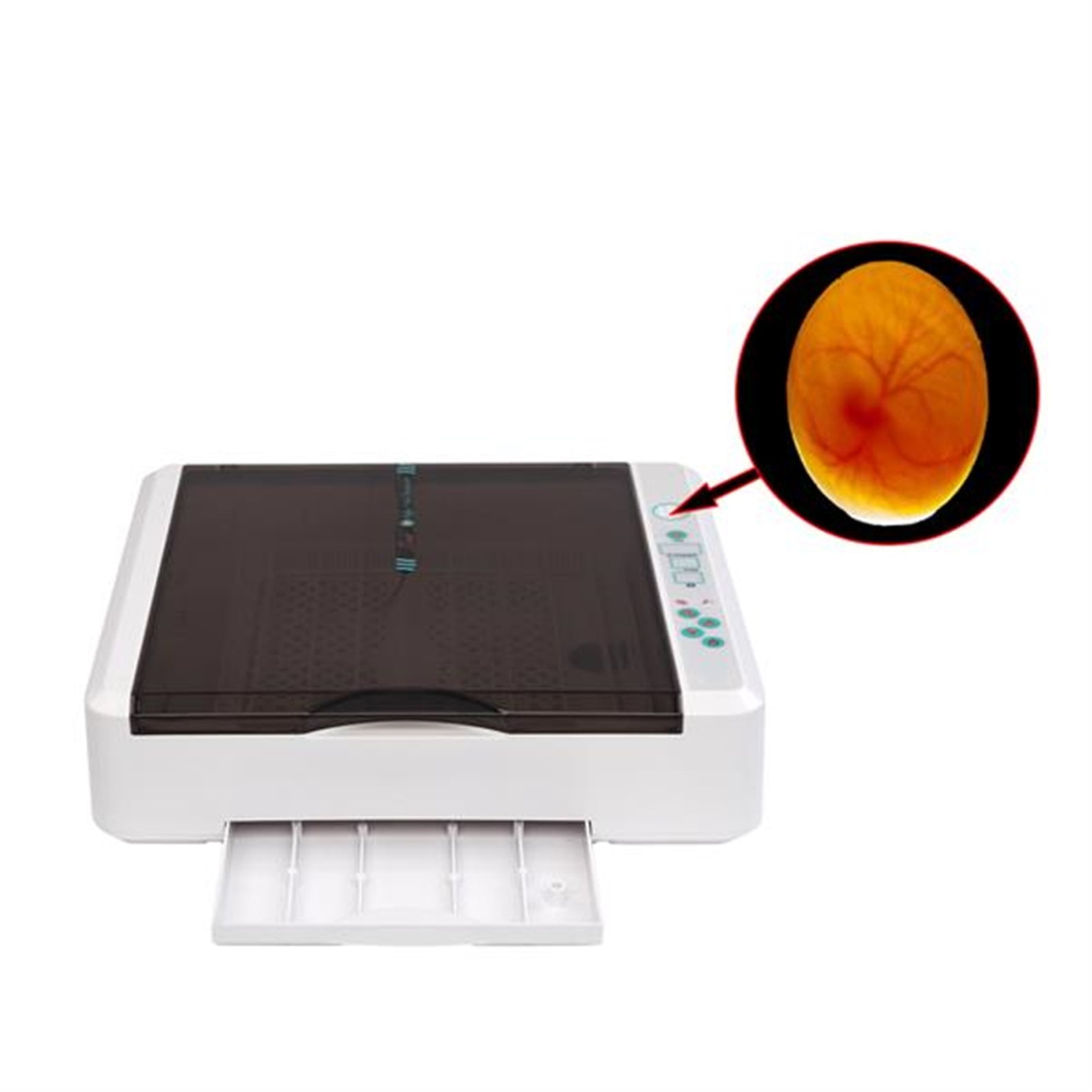 36 Egg Practical Fully Automatic Poultry Incubator With LED Light ...