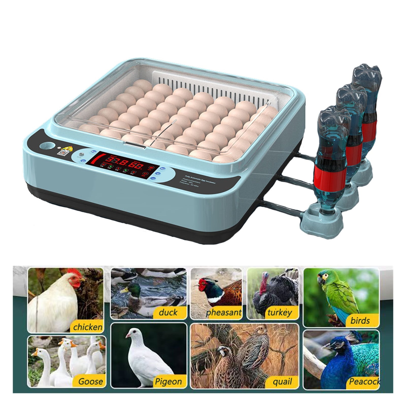 36 Eggs Incubator With Drawer Type Mini Egg Incubator With Automatic ...