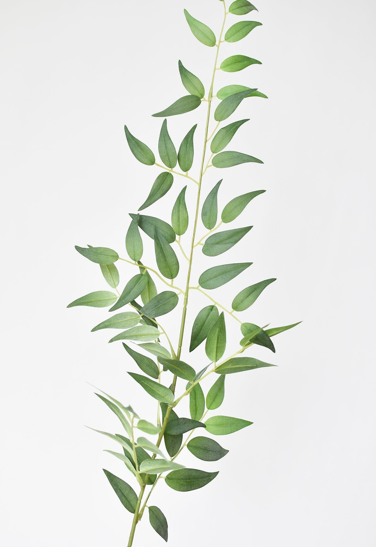 36" Faux Italian Ruscus Stem - Walmart.com