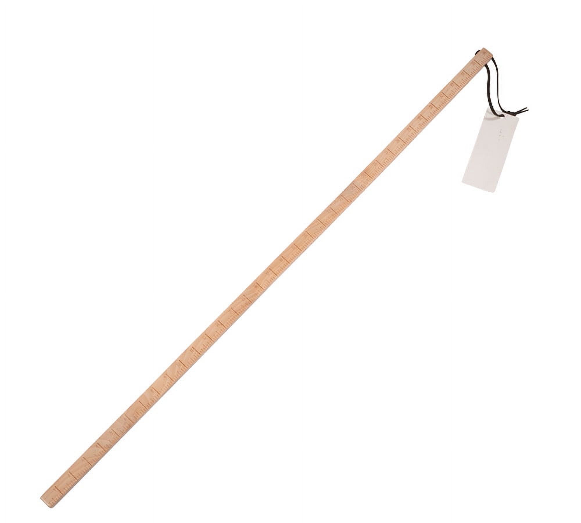 Clapper N/A 120v 1 Electrical Switch - Walmart.com