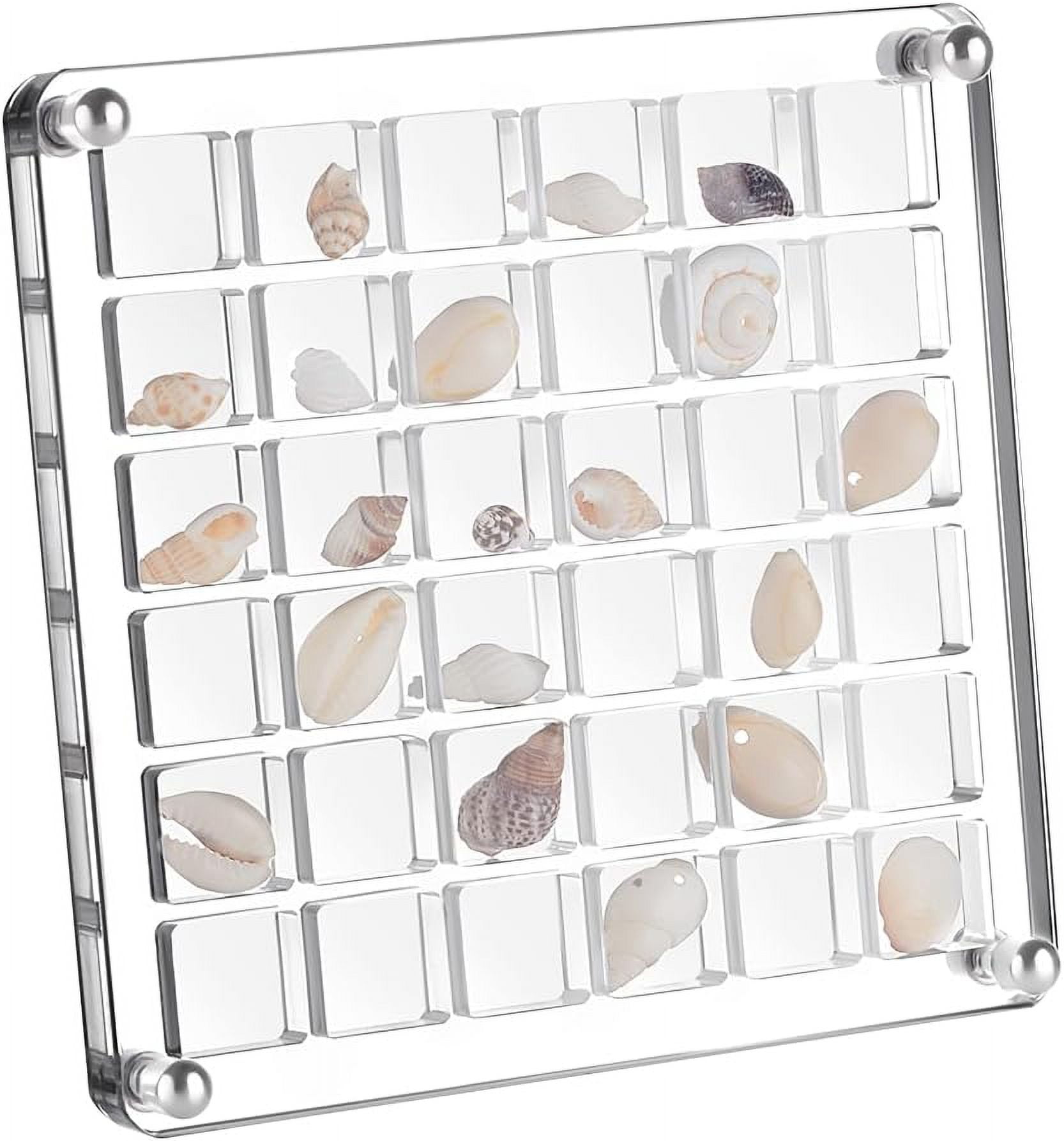 36 Grids Acrylic Shell Storage Box Seashell Display Box with Lid Small ...