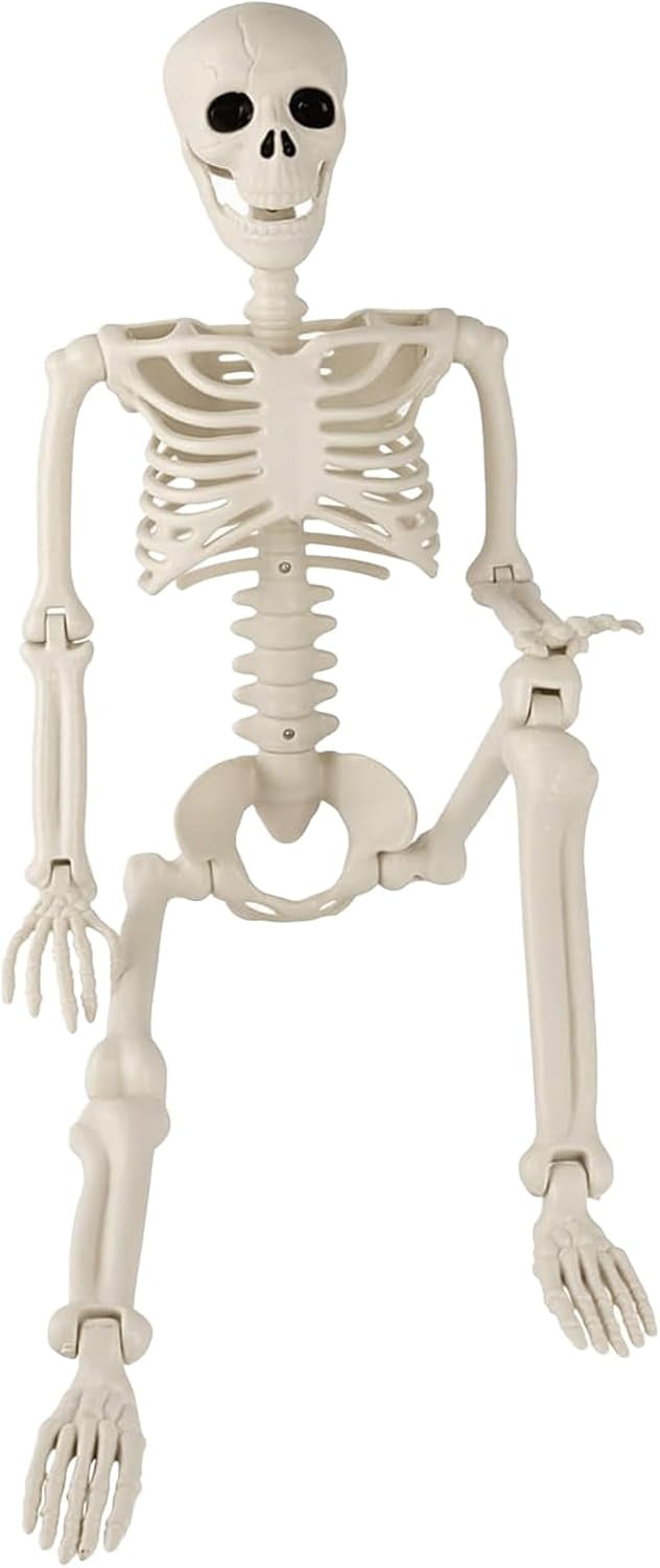 36" Halloween Skeleton, 3 ft Human Skeleton Full Body Posable Joints ...