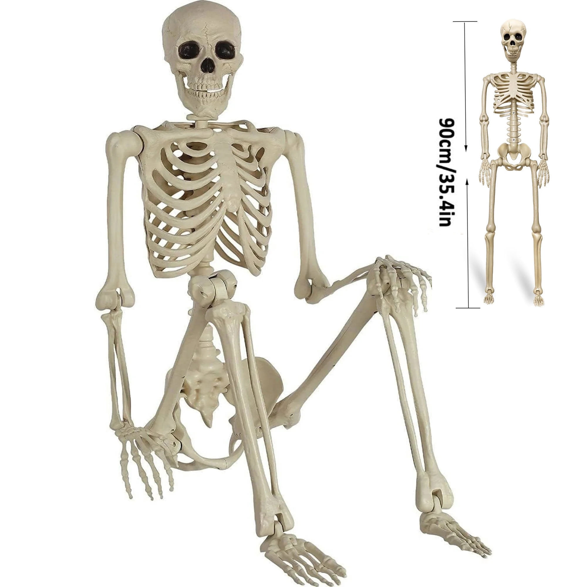 36"Halloween Skeleton Decoration- 3 ft Life Size Human Skeleton with ...