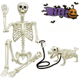 36'' Halloween Skeleton Decoration with Dog Skeleton, 3FT Posable ...