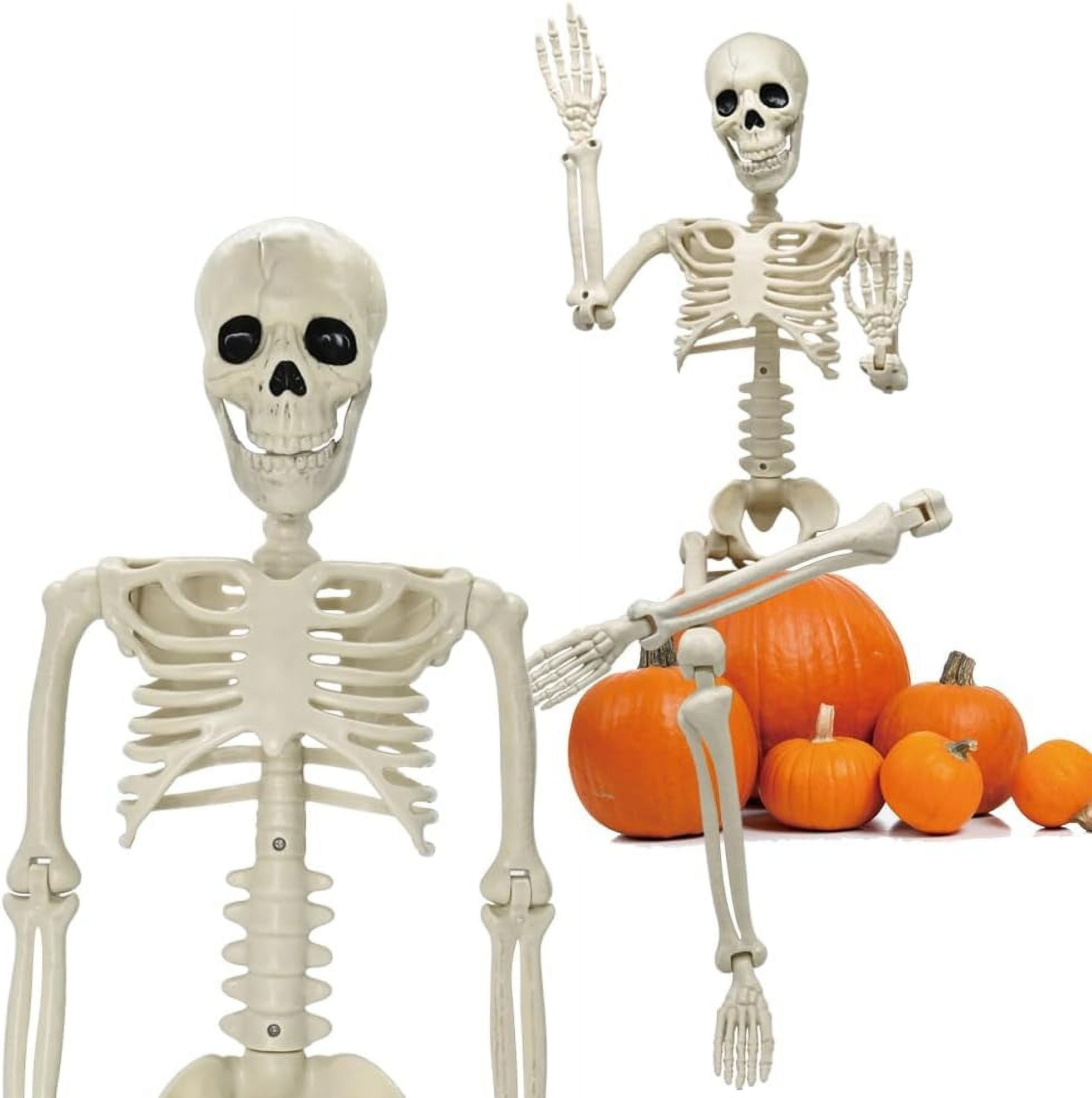 36" Halloween Skeleton Decorations, 3FT Halloween Posable Skeleton ...