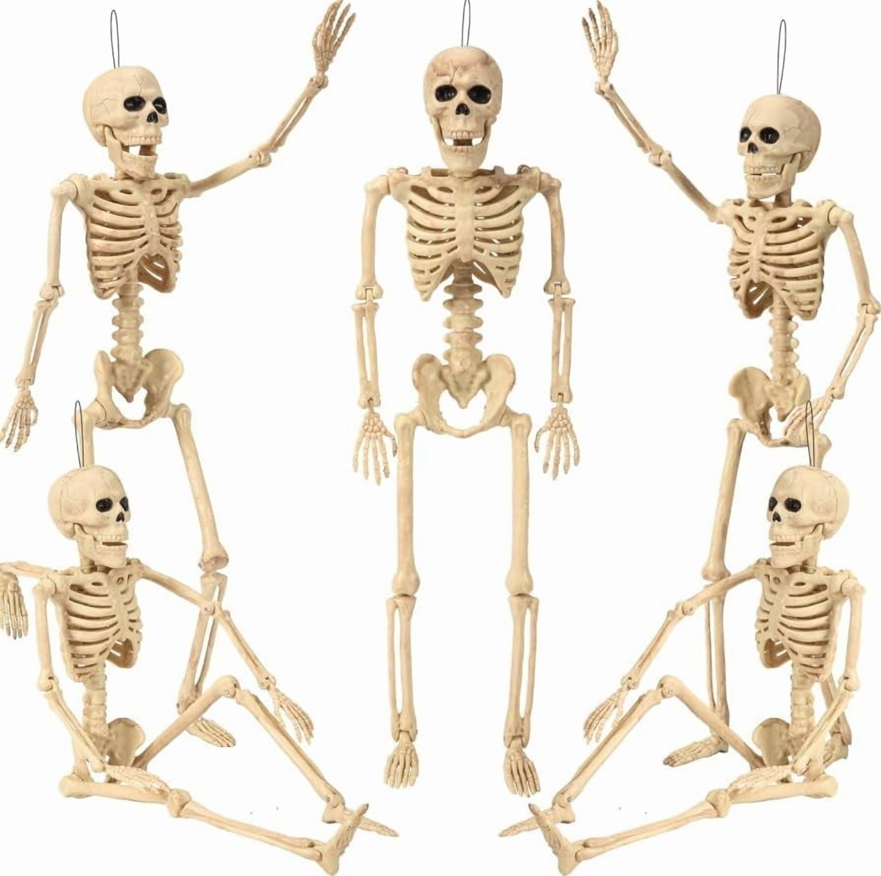 36" Halloween Skeleton Decorations,Human Bones for Halloween Party with ...