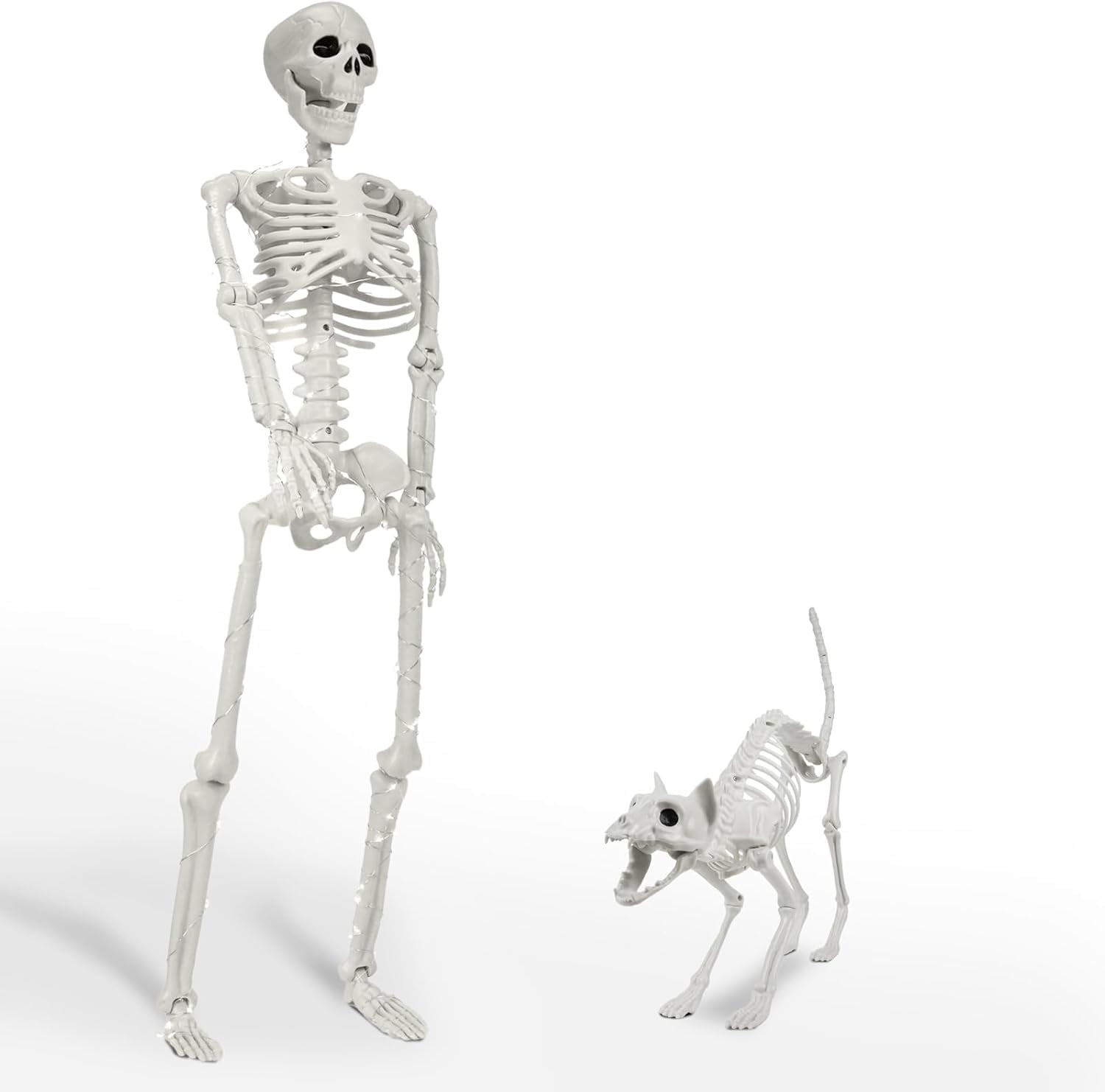 36'' Human & Cat Skeletons Halloween Decorations Outdoor/Indoor ...