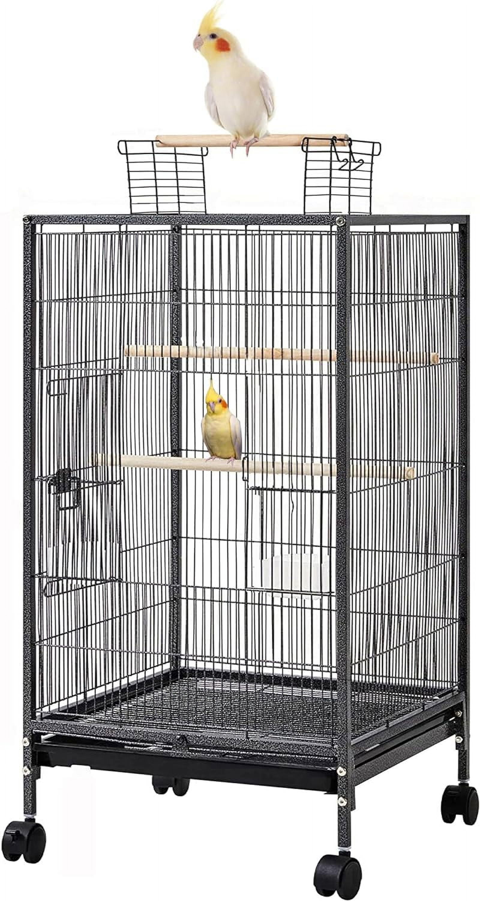 36-Inch Deluxe Sturdy Wrought Iron Bird Flight Open Play Top Cage with ...