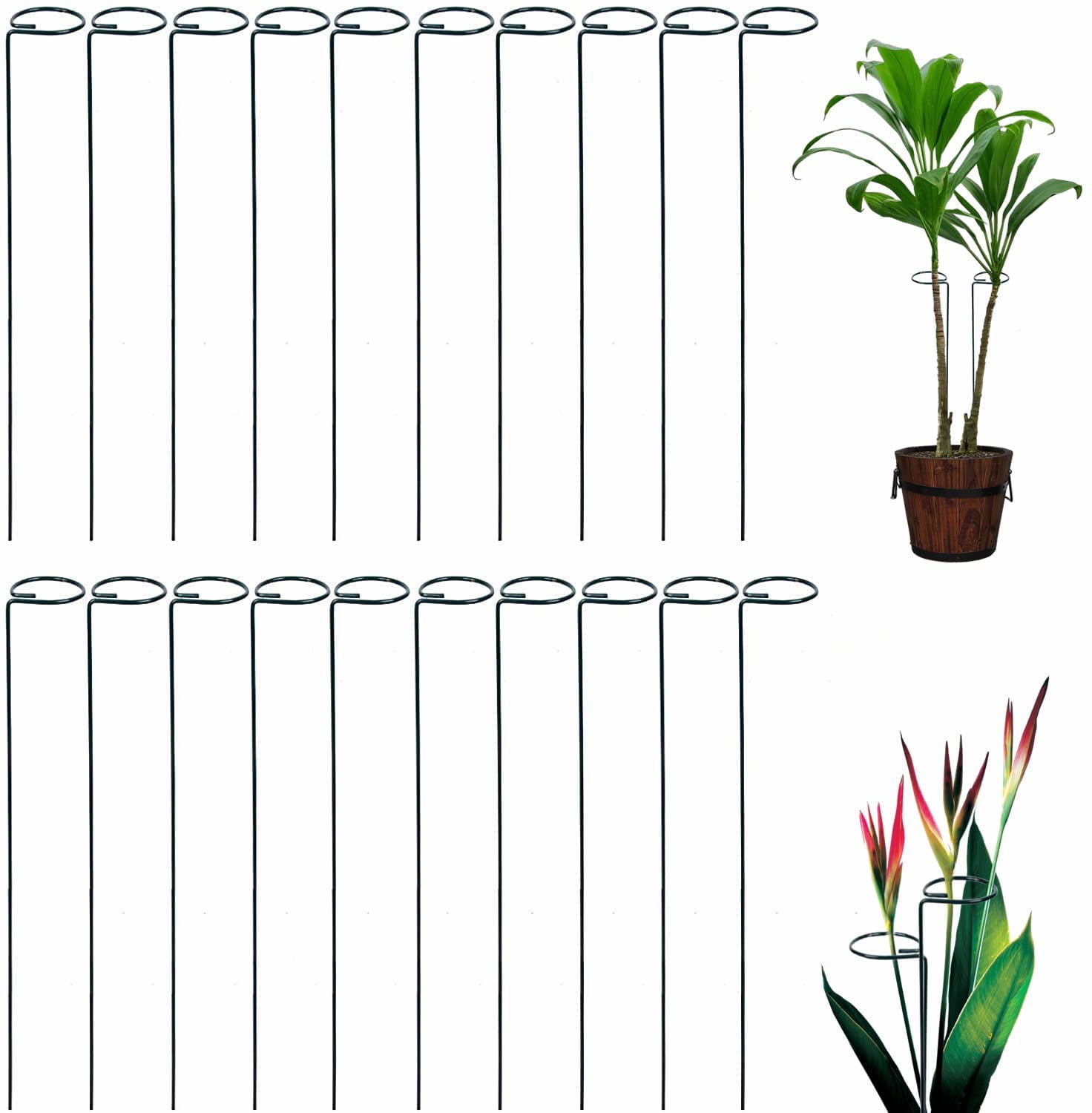 36 Inch Single Stem Plant Support Stakes Steel Garden Stakes Pack of 20 ...
