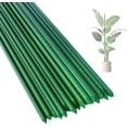 36 Inch Steel Garden Stakes 50 Pack Rust-Resistant Coated for Tomatoes ...