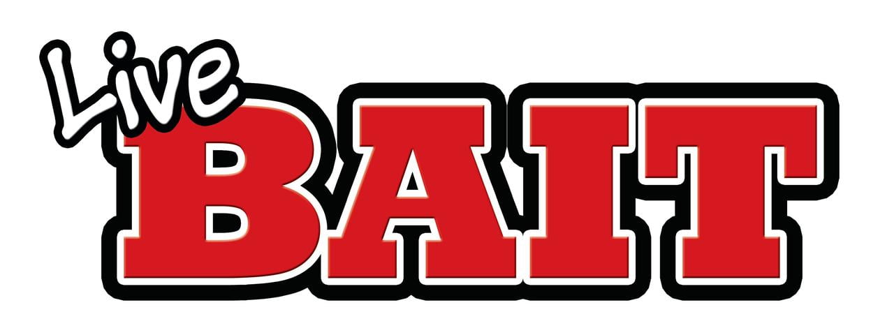 36" LIVE BAIT DECAL sticker fishing lure shiners shrimp - Walmart.com