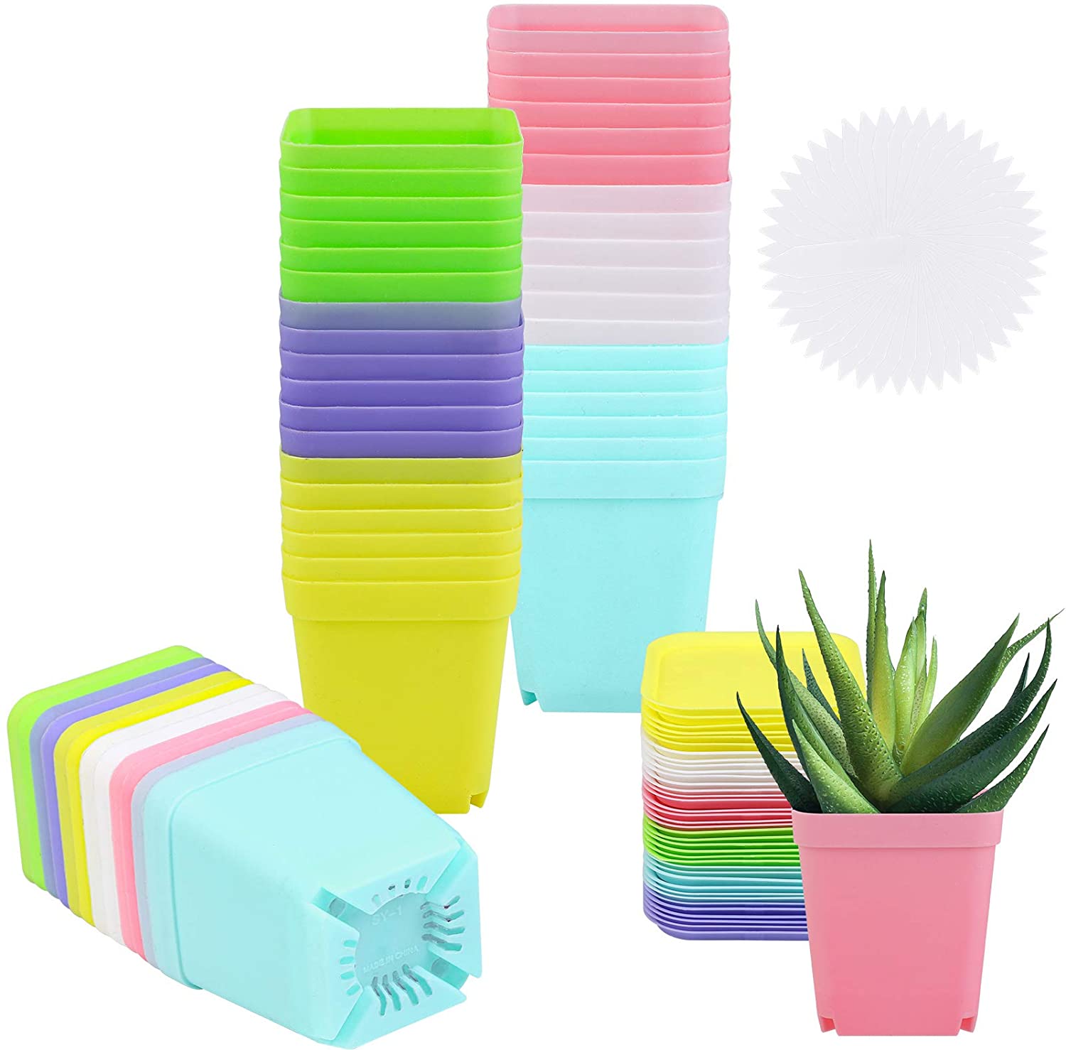 36 Pack 2.7 Inch Square Plants Nursery Pot Multi Color Plastic Plant ...