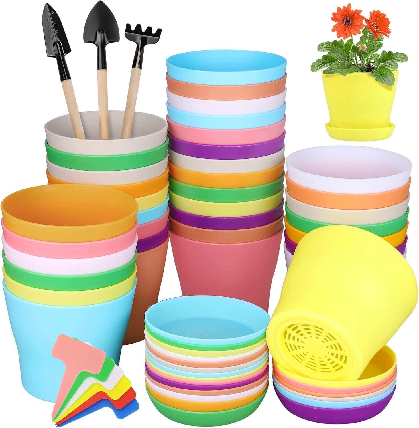 36 Pack 4 Inch Plastic Plant Pots with Saucers Colorful Flower Plant ...