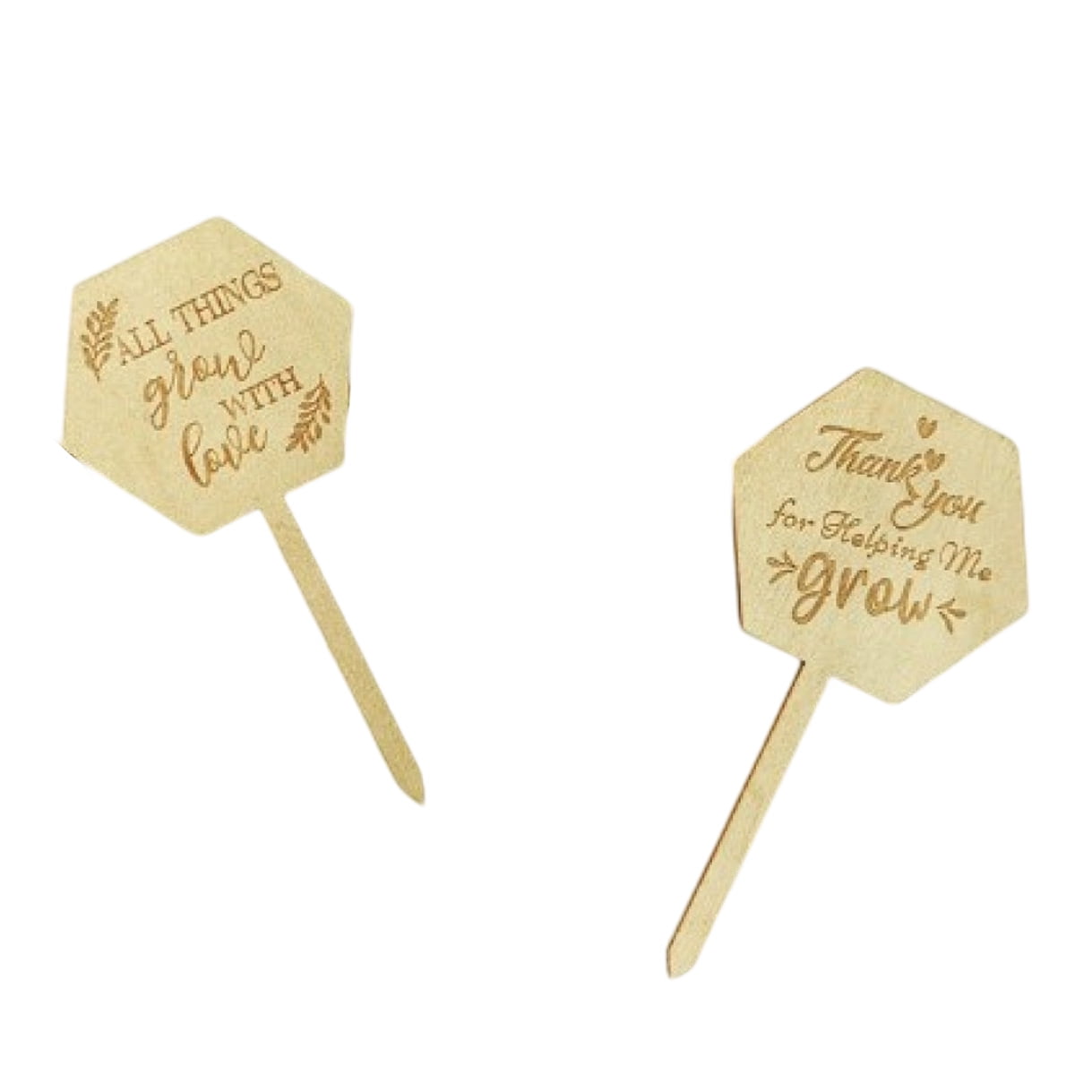 36-Pack for Tracking Growth, Eco-Friendly & Perfect for Flower Pot ...