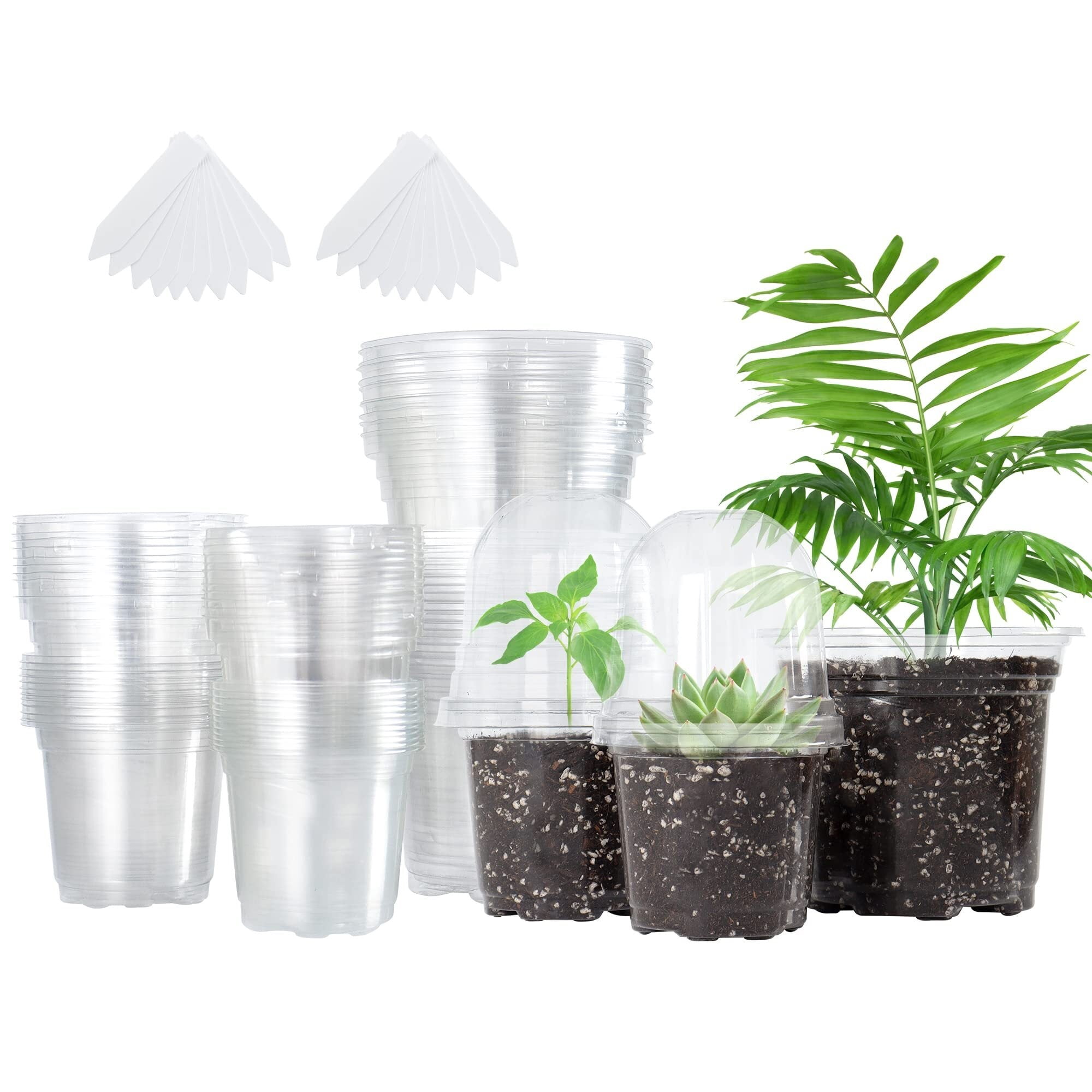 36 Packs 3.5/4/5 Inch Clear Nursery Pots with Humidity Domes, Variety ...