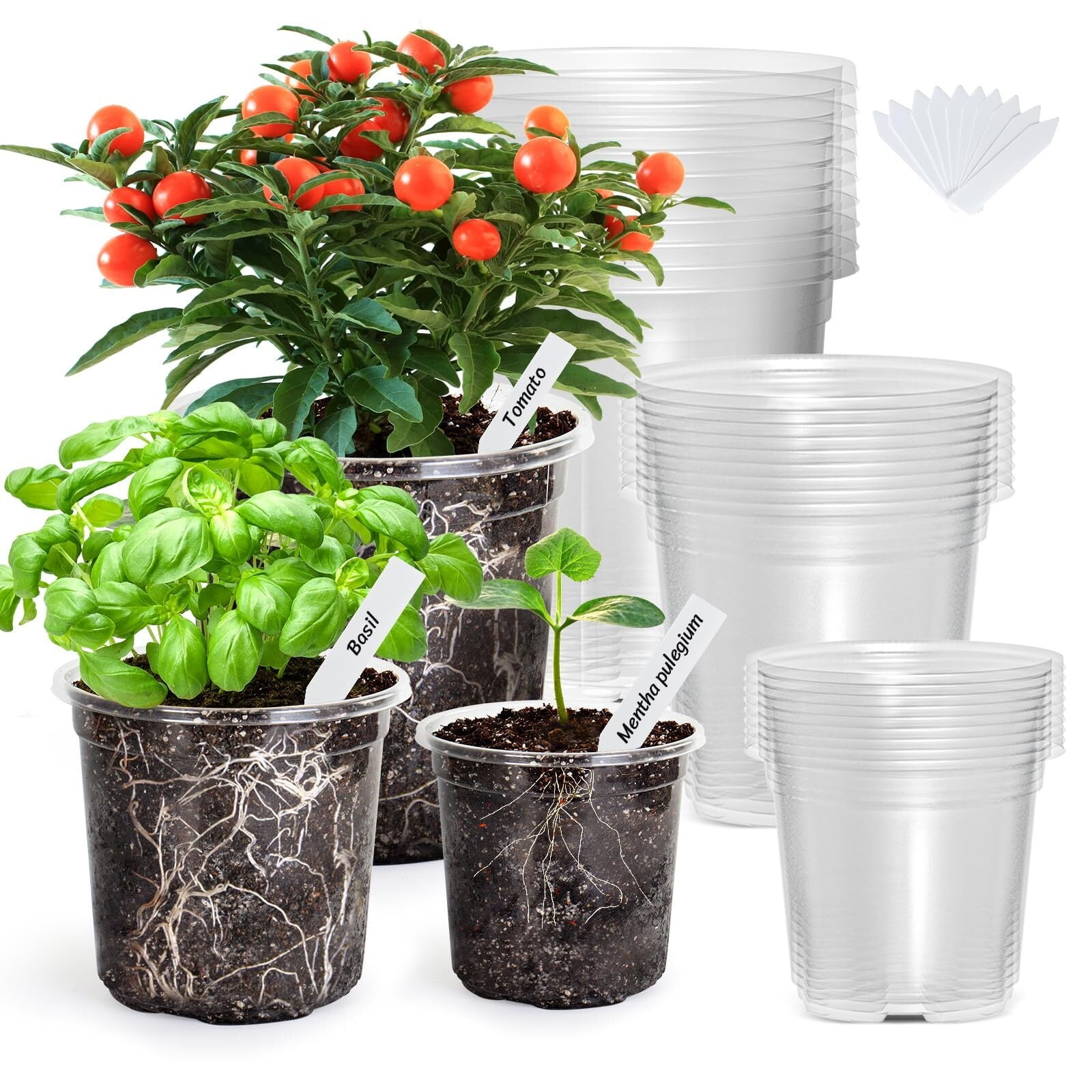 36 Packs 3.5/4/5 Inch Clear Nursery Pots with Humidity Domes, Variety ...