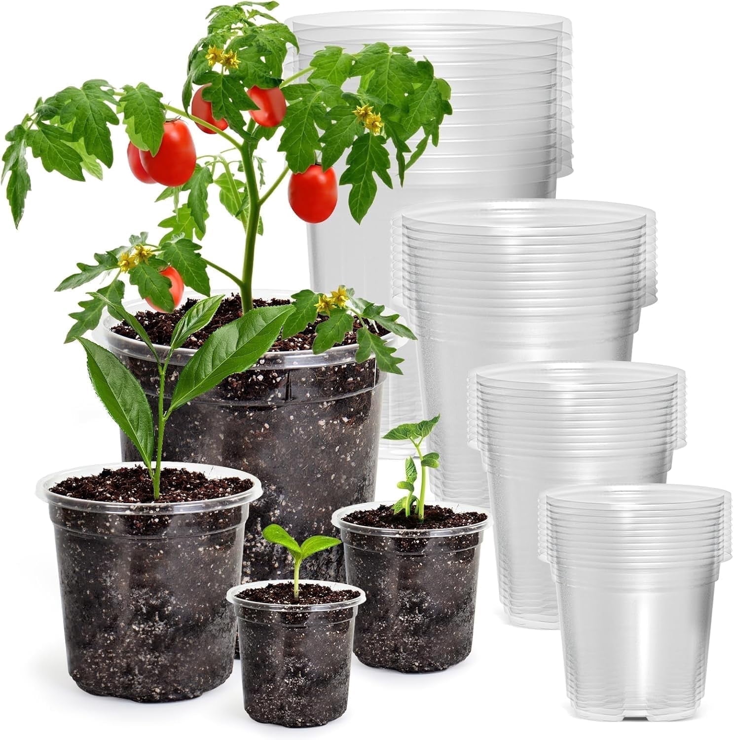 36 Packs Clear Nursery Pots with Drainholes, Jorking 6.5/5/4/3.5 Inch ...