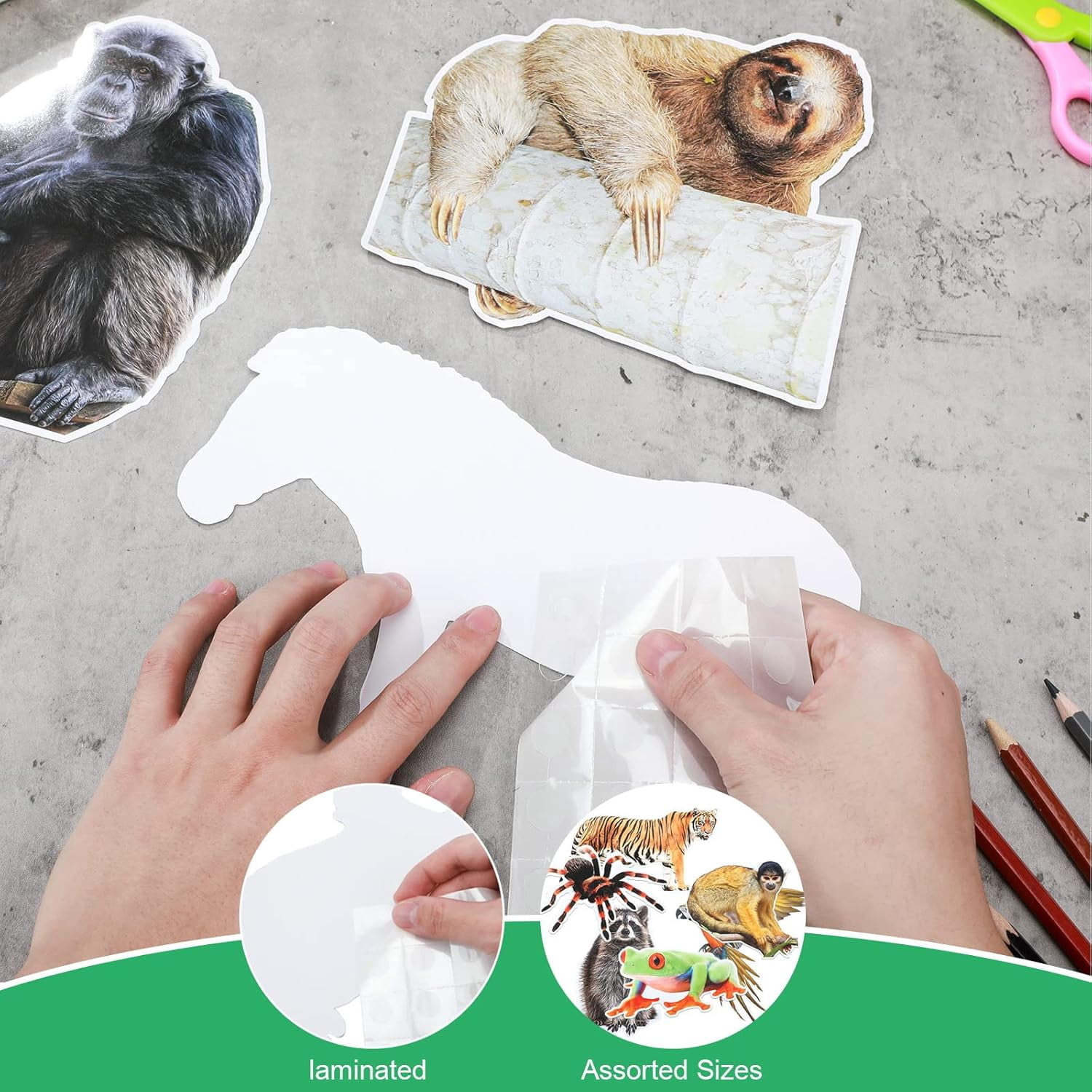 36 Pcs Jungle Animals Cutouts Jungle Bulletin Board Decorations ...