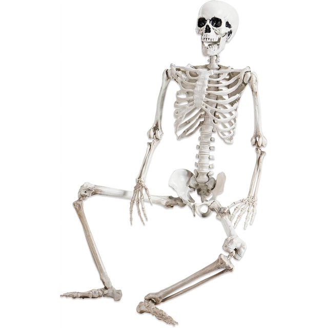 36" Posable Halloween Skeleton Decorations,Human Bones for Halloween ...