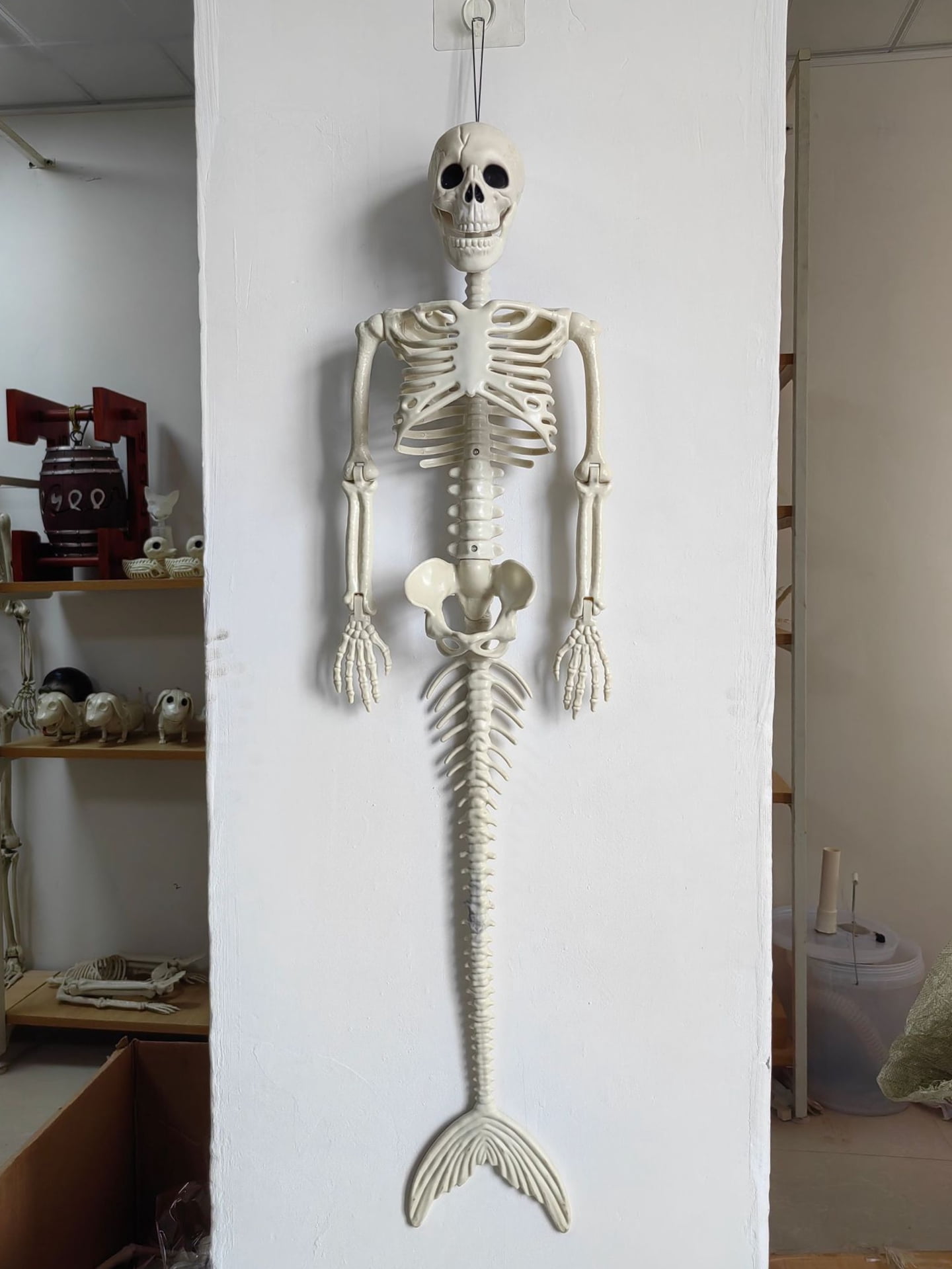 36" Posable Halloween Skeleton Decorations,Human Bones for Halloween ...
