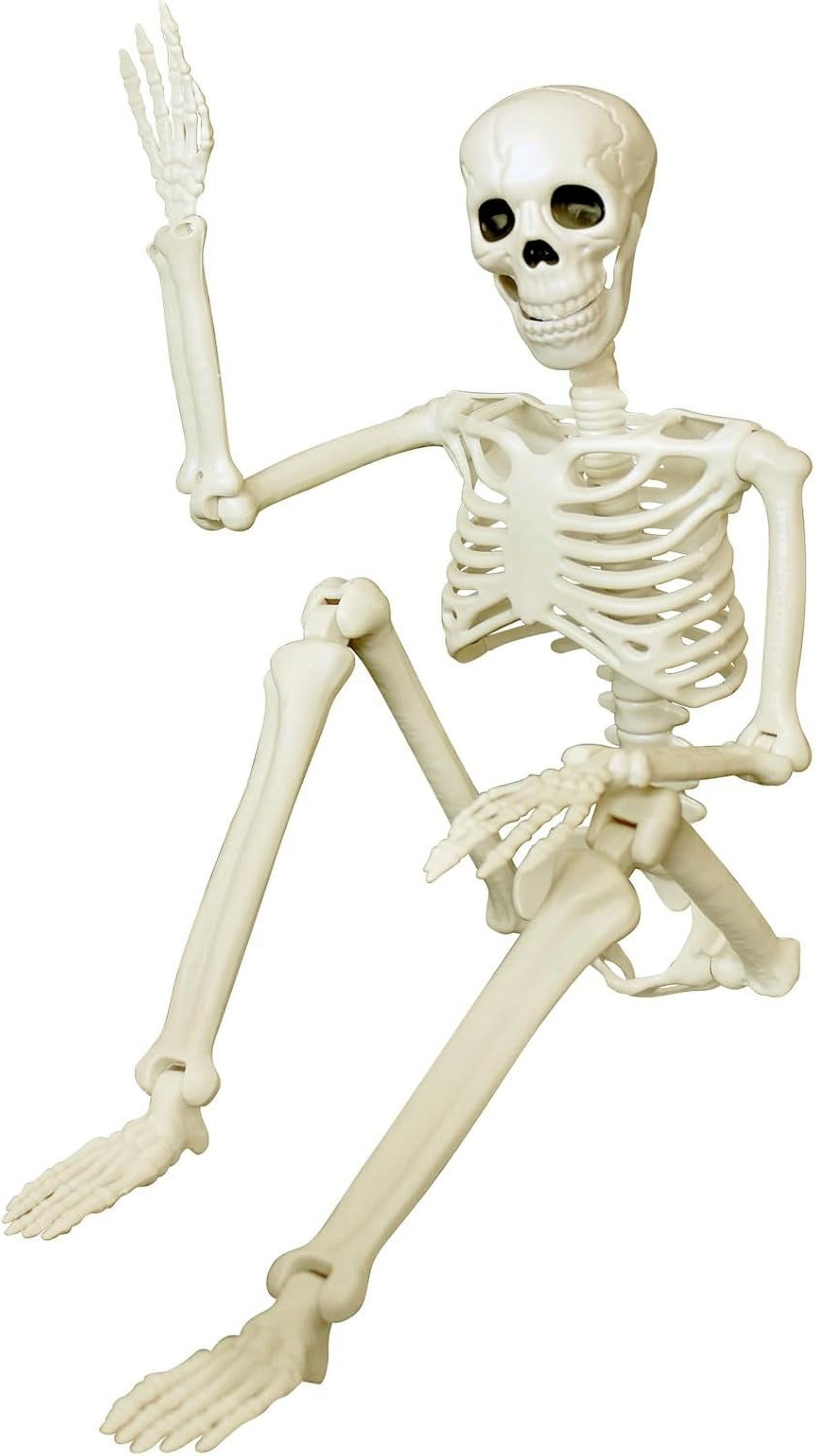 36" Posable Skeleton Halloween Decorations, 3FT Full Body Halloween ...