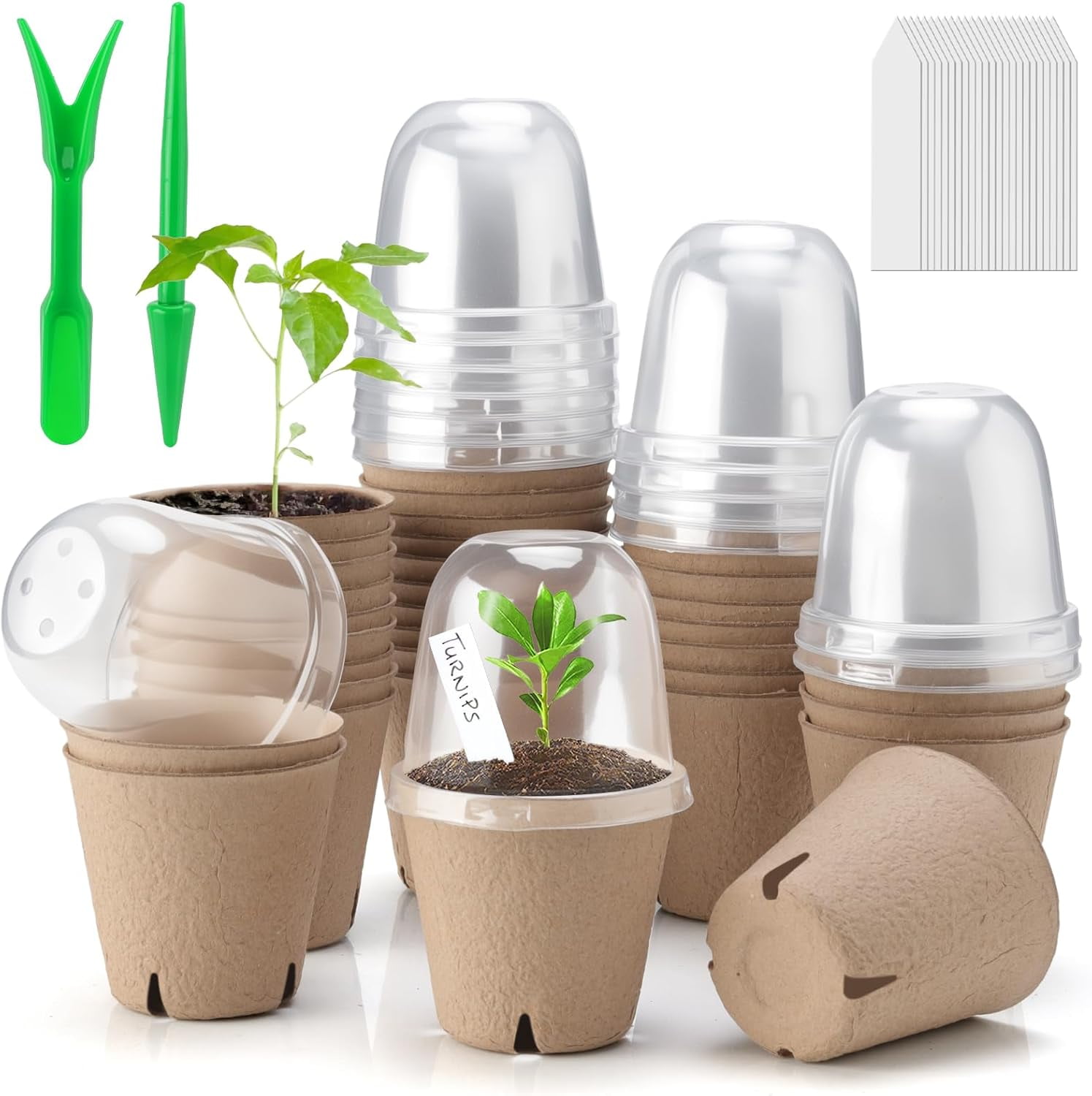 36 Set 3.15 Inch Peat Pots Plant Starters for Seedling with Humidity Dome,Herb Seed Starter Pots ...