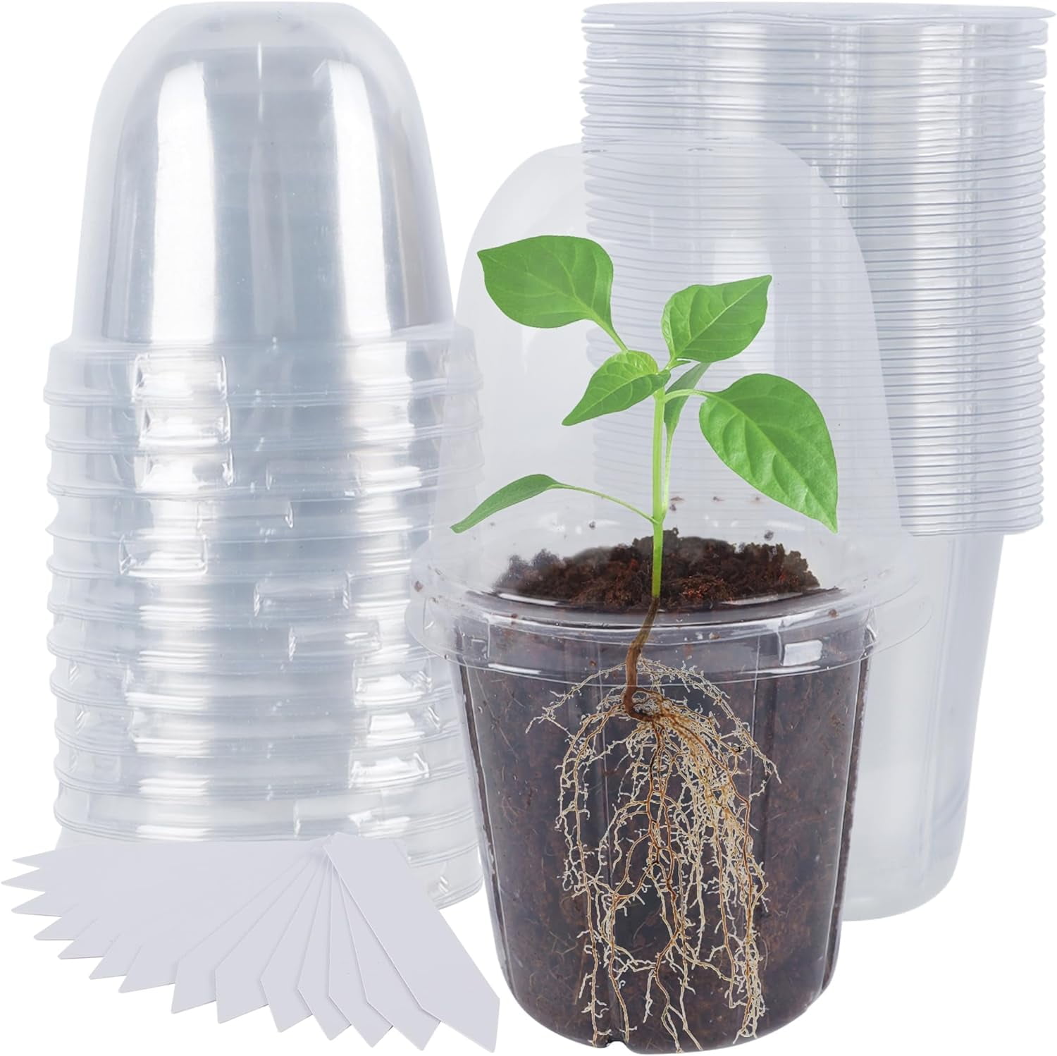 36 Set Nursery Pots with Humidity Dome, Clear for Plants, Seed Starting ...