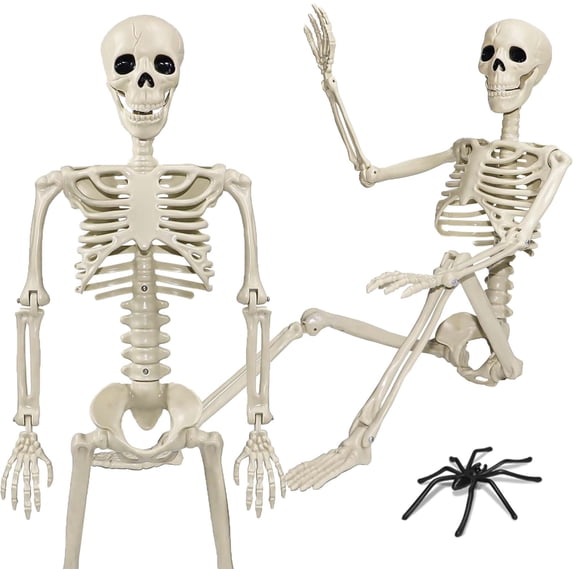 36" Skeleton Halloween Decorations, 3ft Life Size Human Skeleton with ...