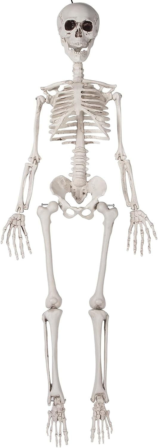 36" Skeleton Poseable Halloween Decoration, 3ft Full Body Plastic ...