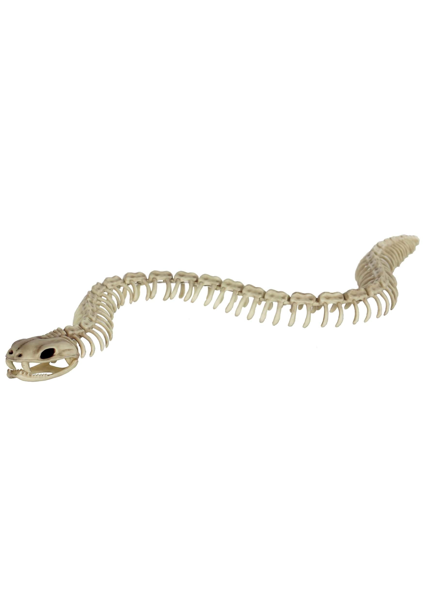 36" Snake Skeleton Decoration - Walmart.com
