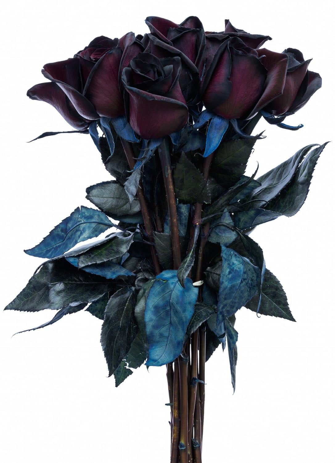 36 Stems - Black Roses Bouquet by | Real Tinted Black Roses - Walmart.com