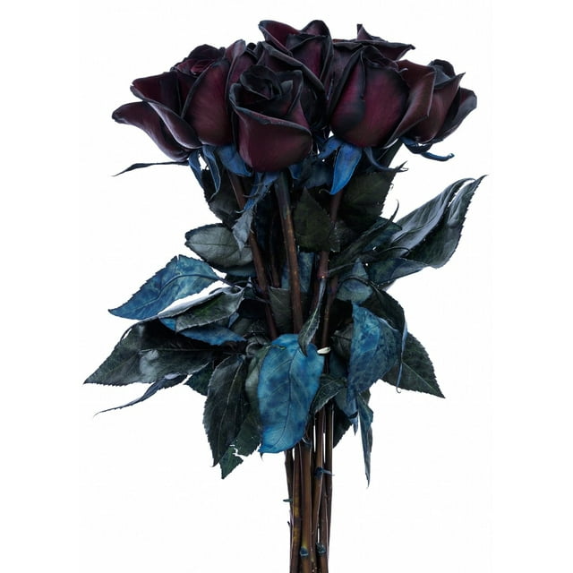 36 Stems - Black Roses Bouquet by | Real Tinted Black Roses - Walmart.com