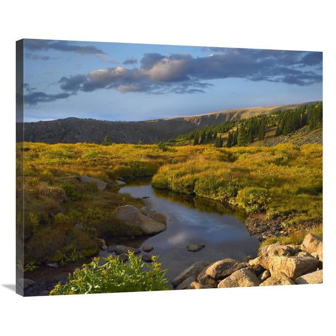 36 in. Black Hills Landscape Showing Prairie & Ponderosa Pines South Dakota Art Print - Tim ...