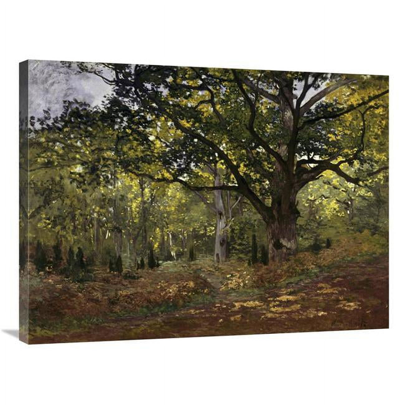 36 in. Bodmer Oak, Fontainebleau Forest, 1865 Art Print - Claude Monet ...