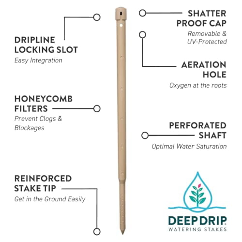 36 in. DEEP DRIP Large Tree Watering Stake (3 Pack) | UV-Protected ABS ...