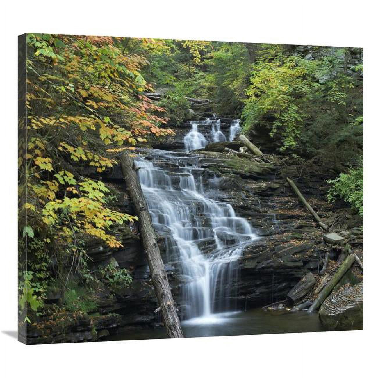 36 in. Delaware Falls, Ricketts Glen State Park, Pennsylvania Art Print ...