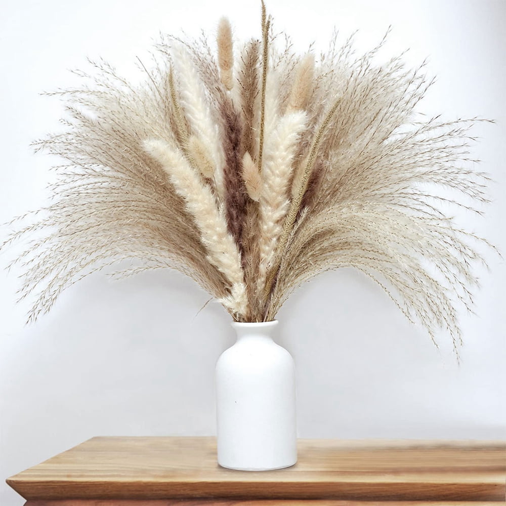 36 pcs Various Dried Pampas Grass Décor,Pompous Grass,Bunny Tails Dried ...