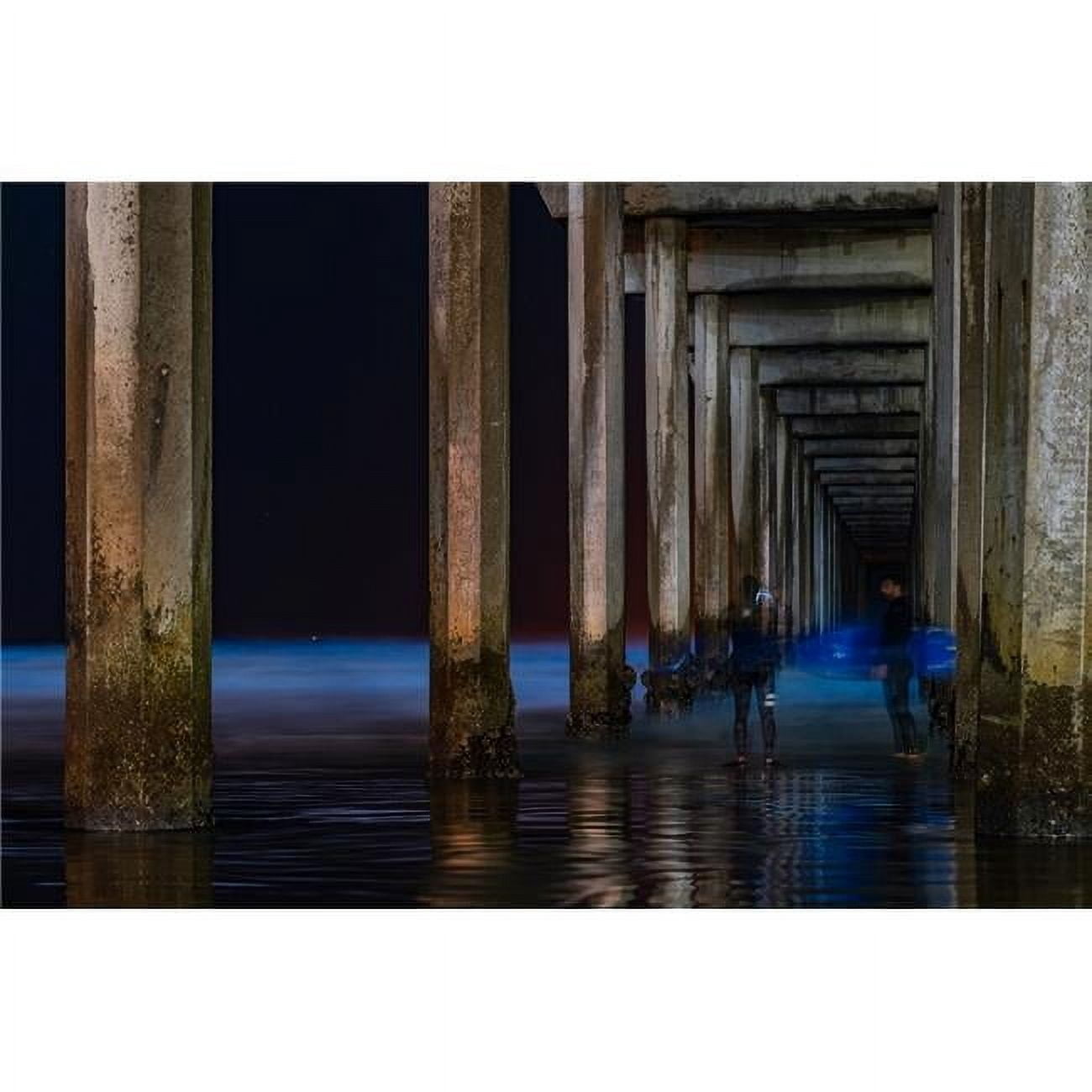 36 x 24 in. Scripps Pier, La Jolla Bioluminescence Surfers Fine Print ...