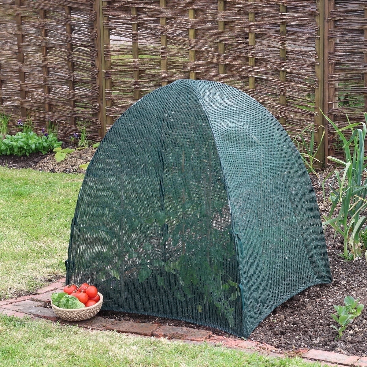 Giant Easy Net Dome Plant Protection Cover – 36″ L x 36″ W x 37″ H ...