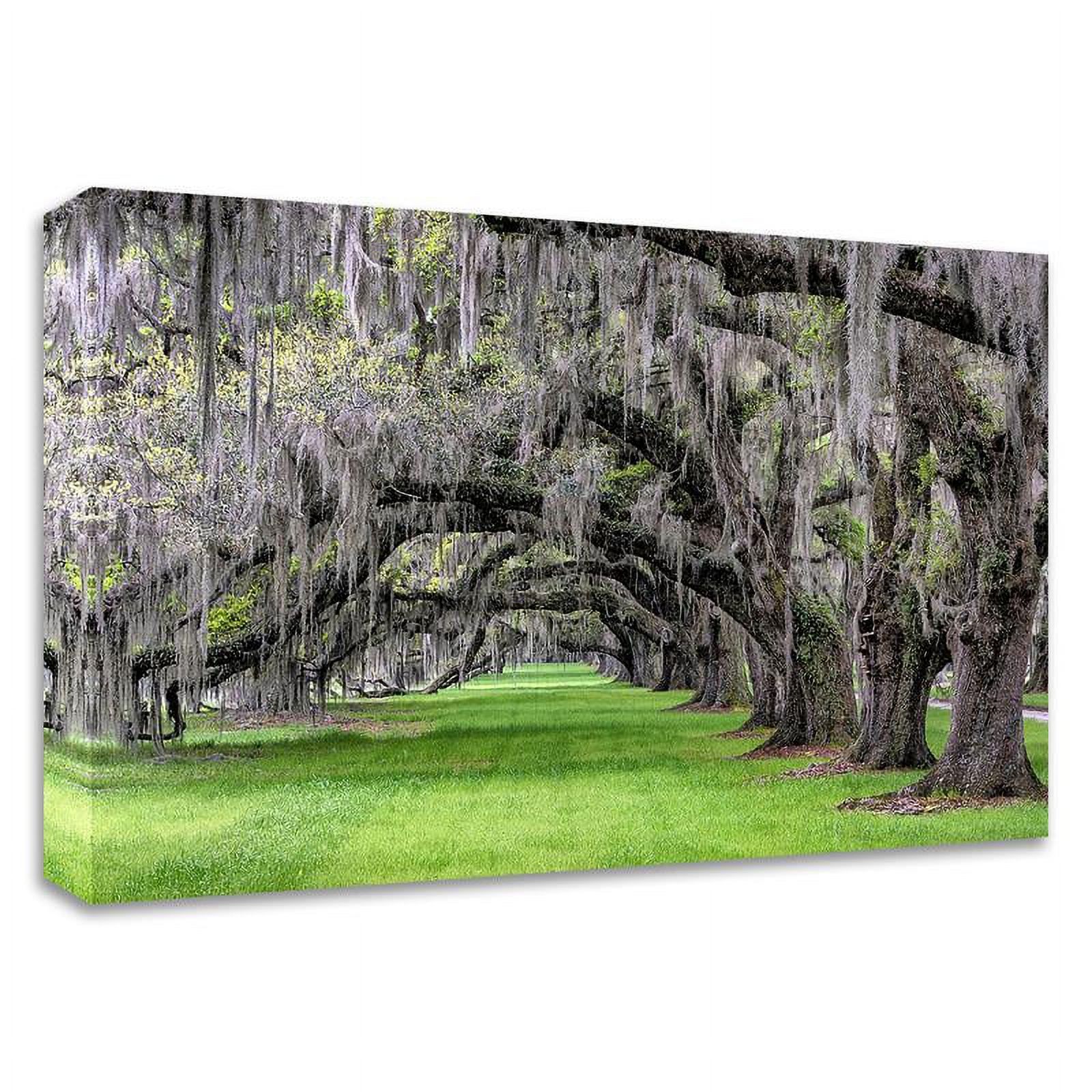 36"x24" Hanging to the Left by Daniel Burt Wall Art Print on Canvas ...