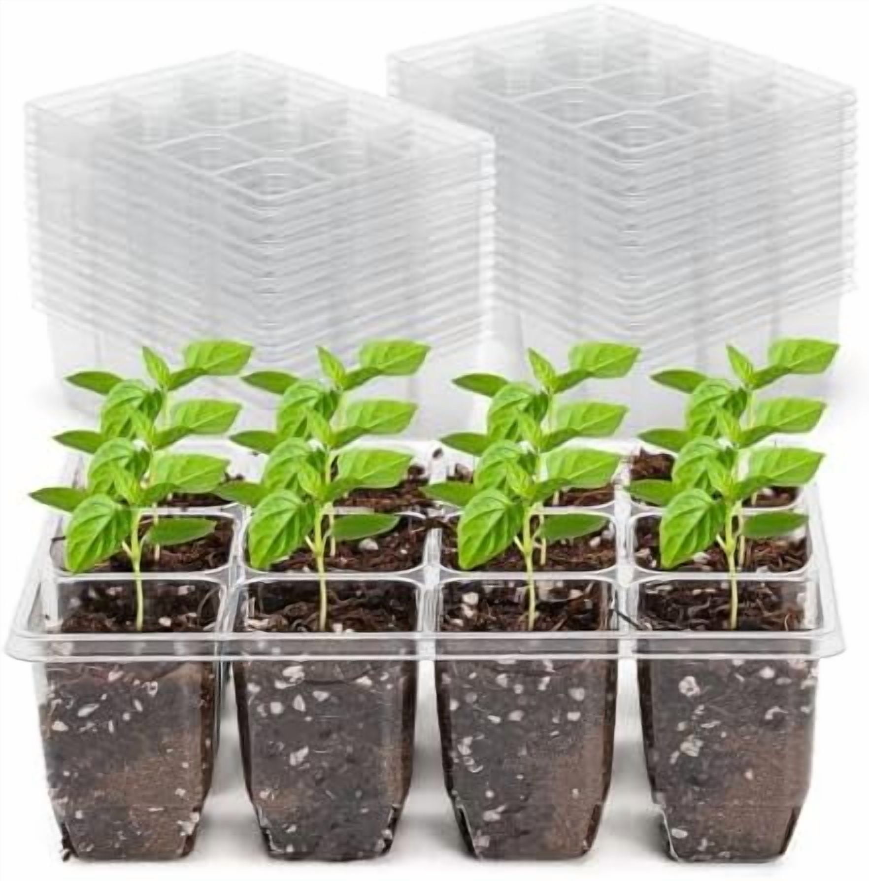 360 Cells Seedling Starter Trays Transparent Seed Tray Grow Germination ...