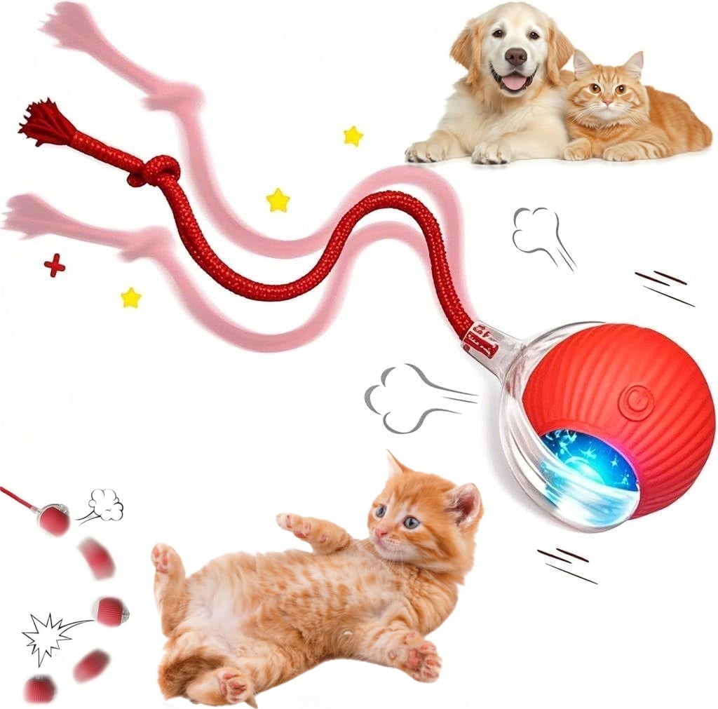 360°Fully Rechargeable Rolling Moving Ball, Interactive Automatic ...