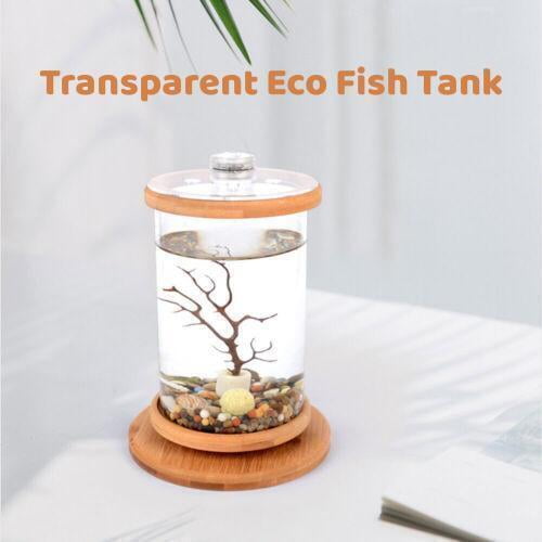 360° Rotating Eco Fish Tank with LED Light, Compact Glass Aquarium ...