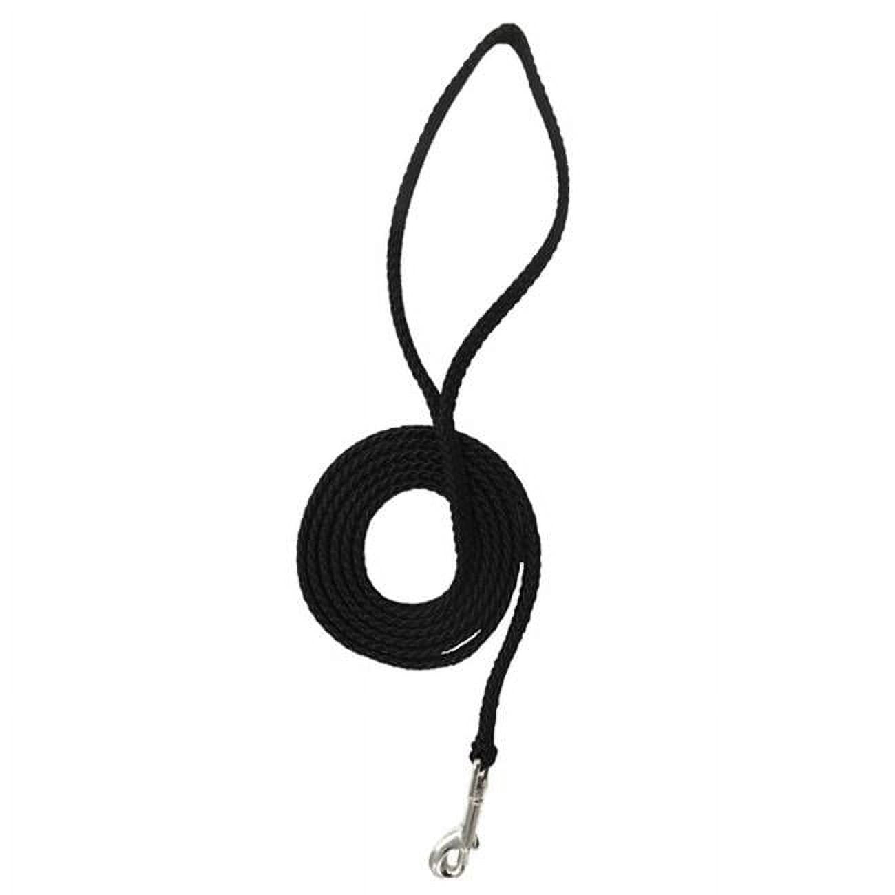 3648-LGP Flat Braided Rope Lead with Snap, Lime Green & Purple - 0.25 ...