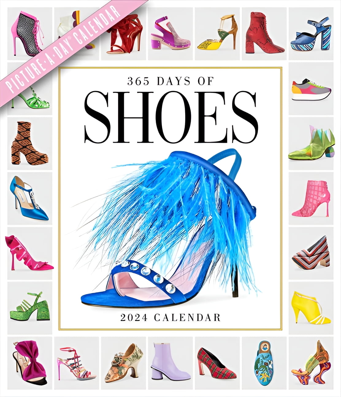 365 Days of Shoes Picture-A-Day Wall Calendar 2024 : An Obsessive ...