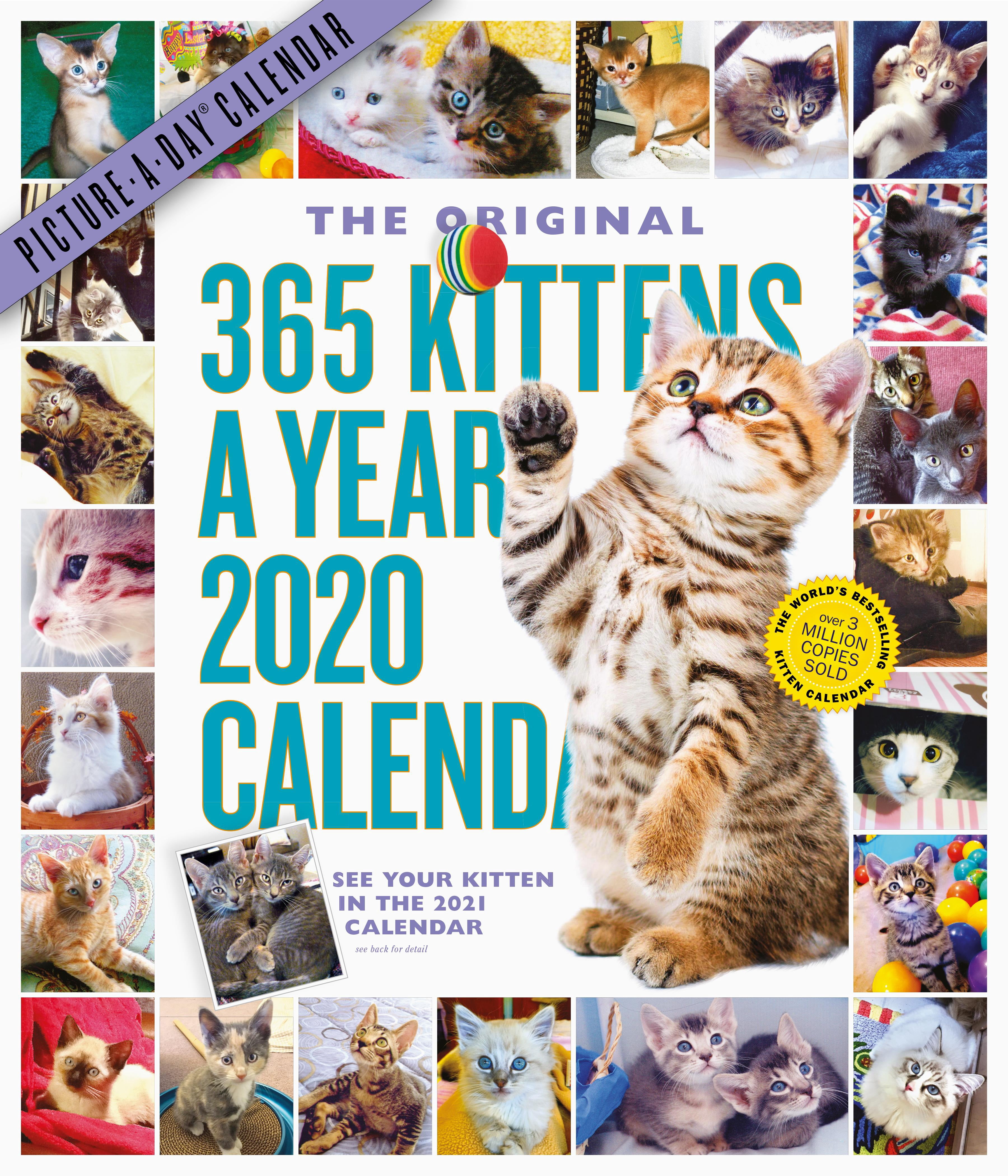 365 Kittens-A-Year Picture-A-Day Wall Calendar 2020 (Other) - Walmart.com