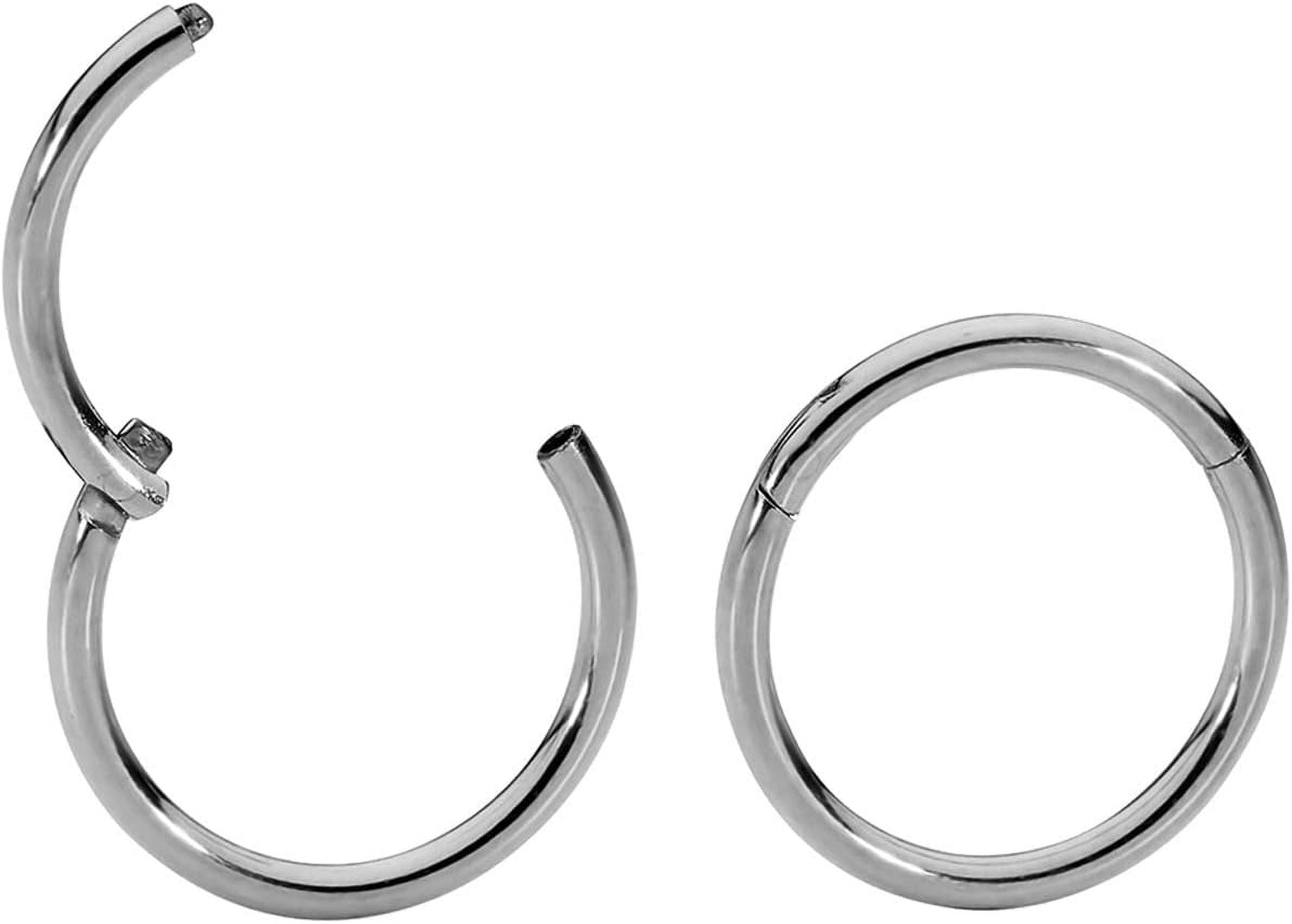 365 SLEEPERS 2 Pieces Titanium 16G Hinged Hoop Segment Septum Cartilage ...